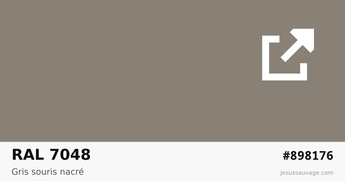 RAL 7048 Gris souris nacré — HEX #898176, RGB 137 129 118 | Nuancier RAL